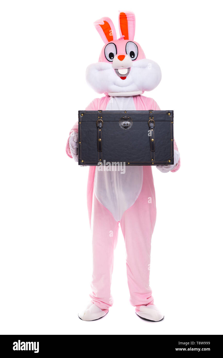 Easter bunny holds gifts box or chest. Life size rabbit celebrates ...