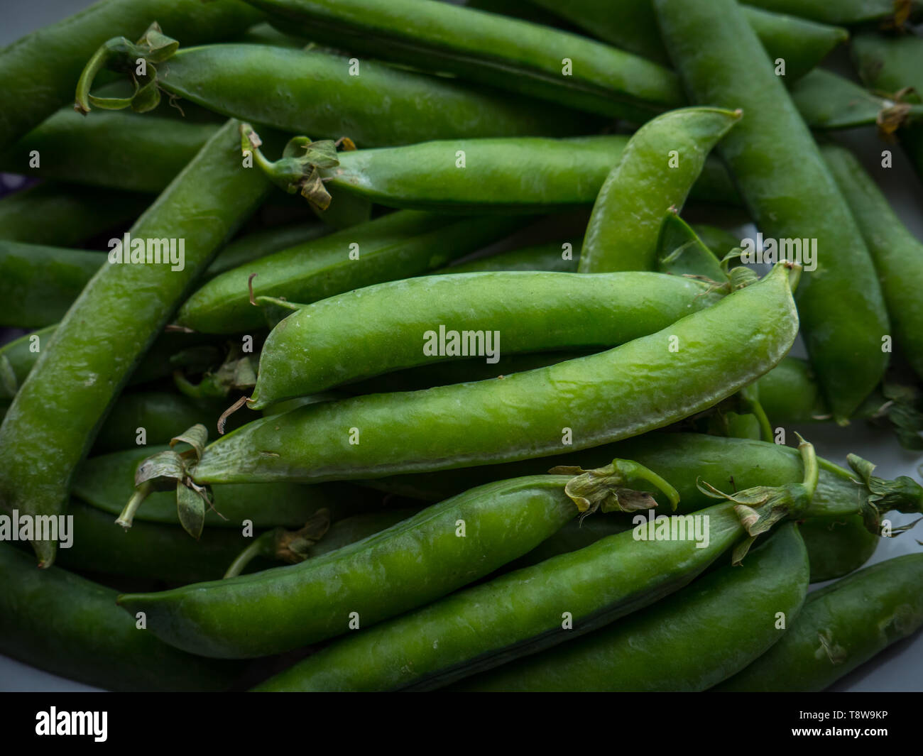 Empty seed pod hi-res stock photography and images - Alamy