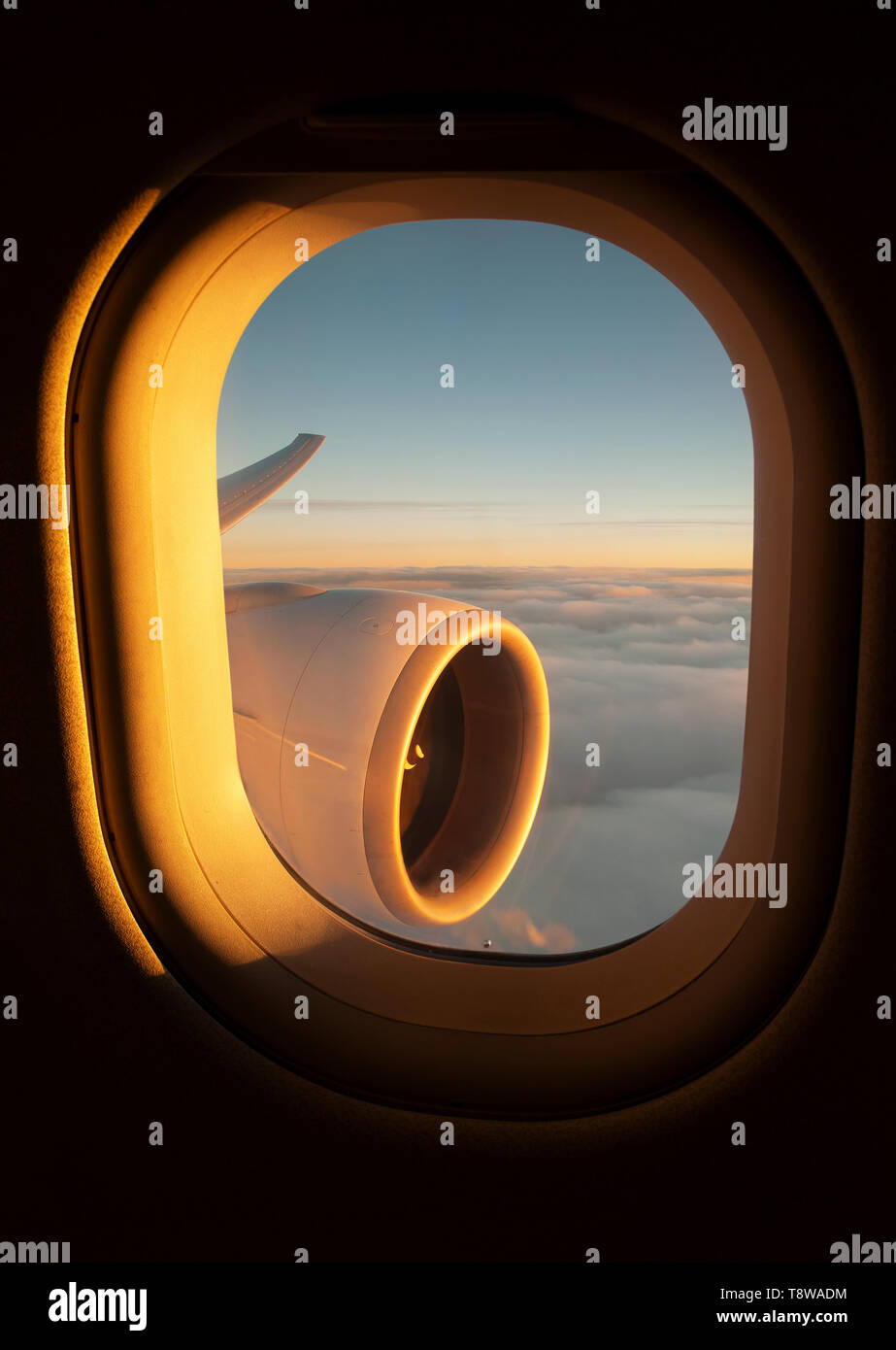Aeroplane wing inside aeroplane hi-res stock photography and images - Alamy