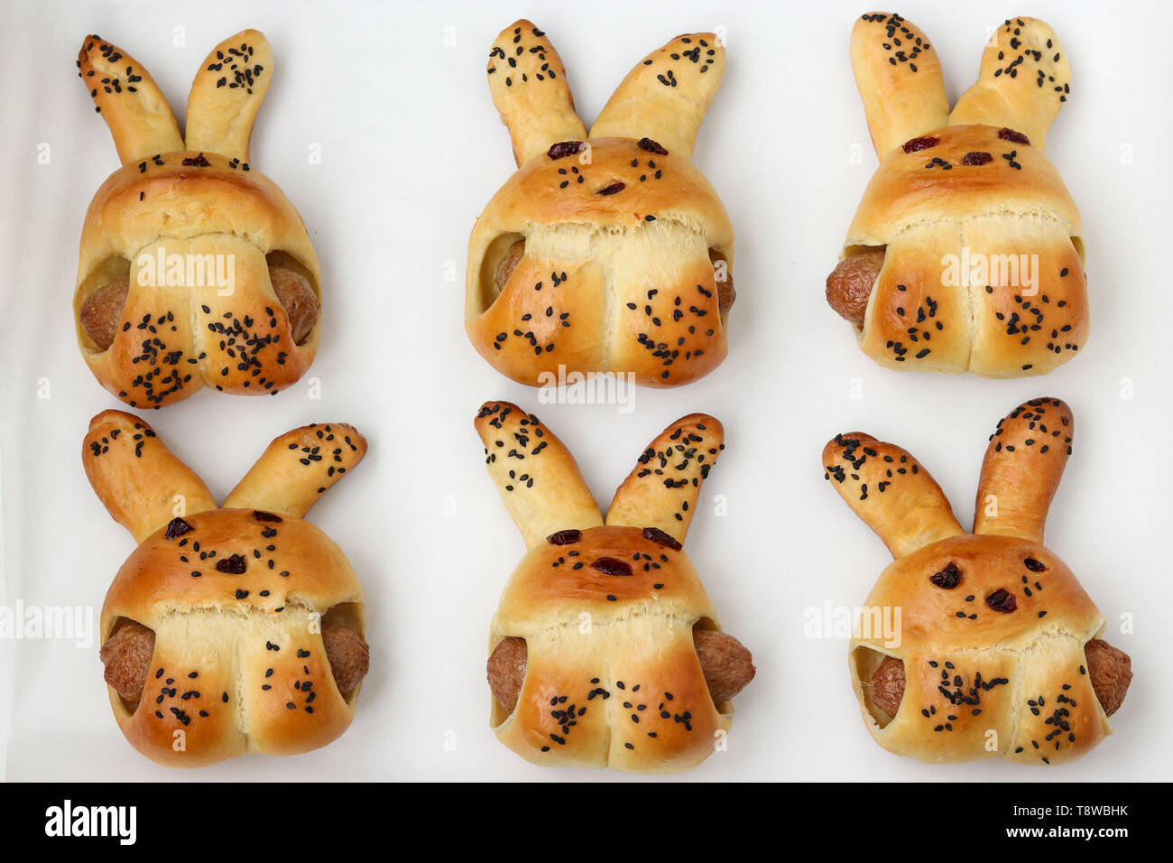 Cooking homemade buns in the shape of rabbits, step by step process ...