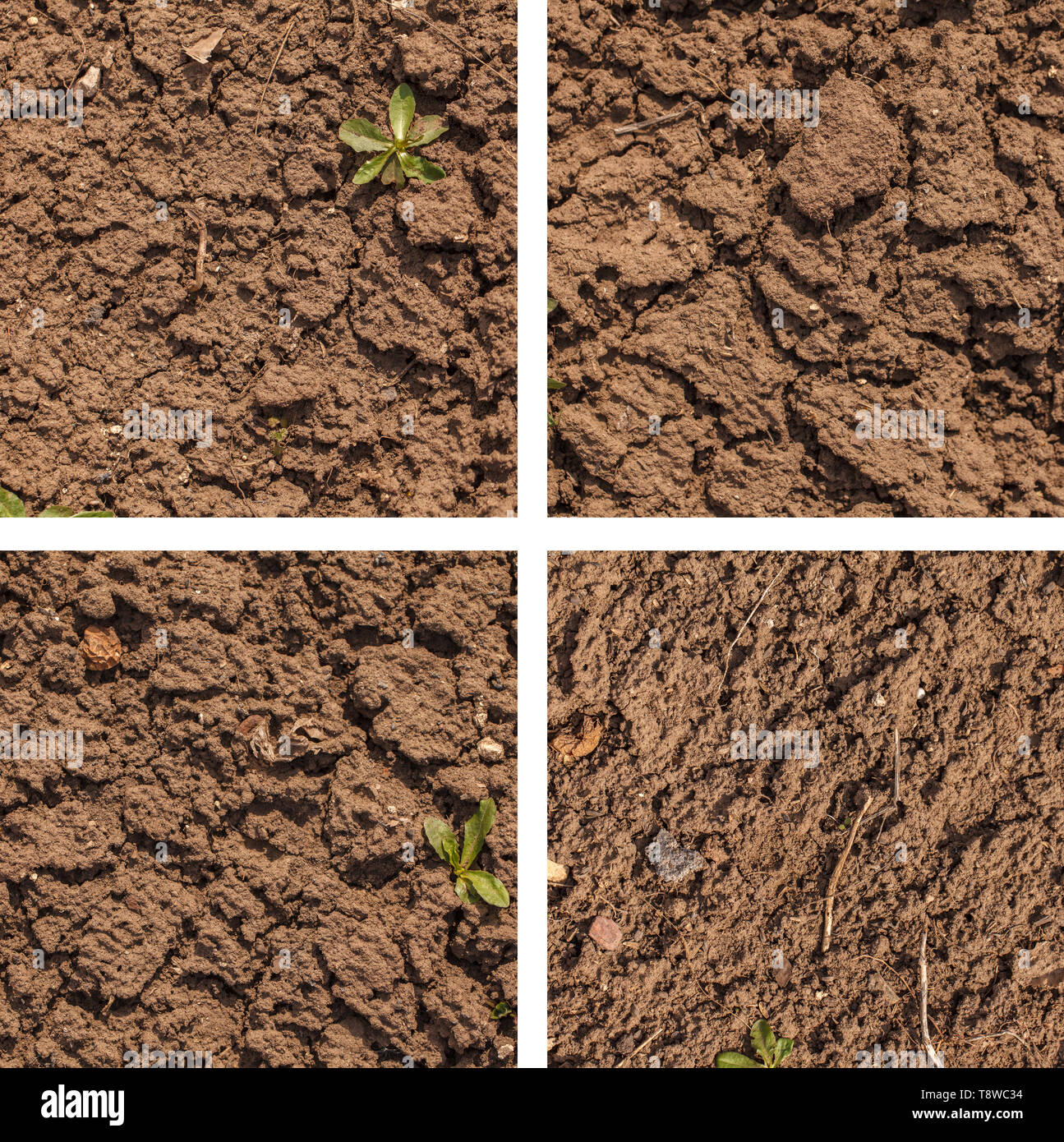 Dry cracked soil. Set Stock Photo - Alamy