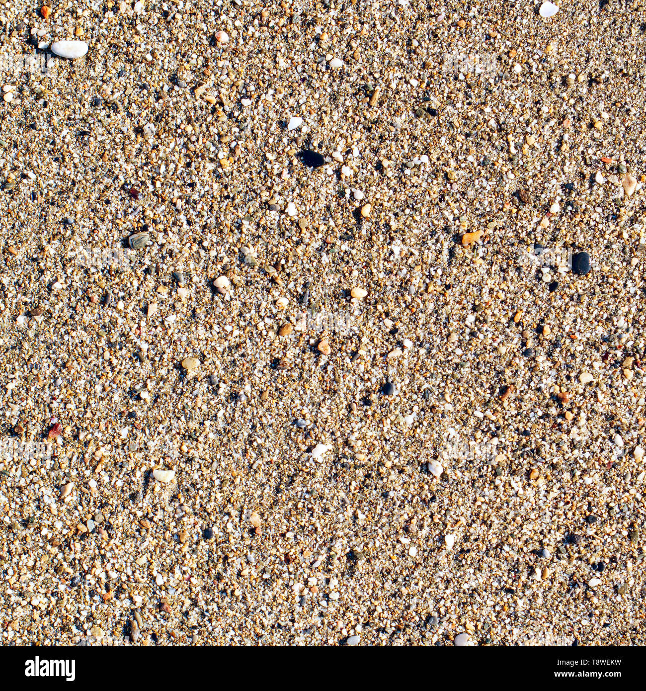 Top view of seashore, clean sand texture of natural surface Stock Photo ...
