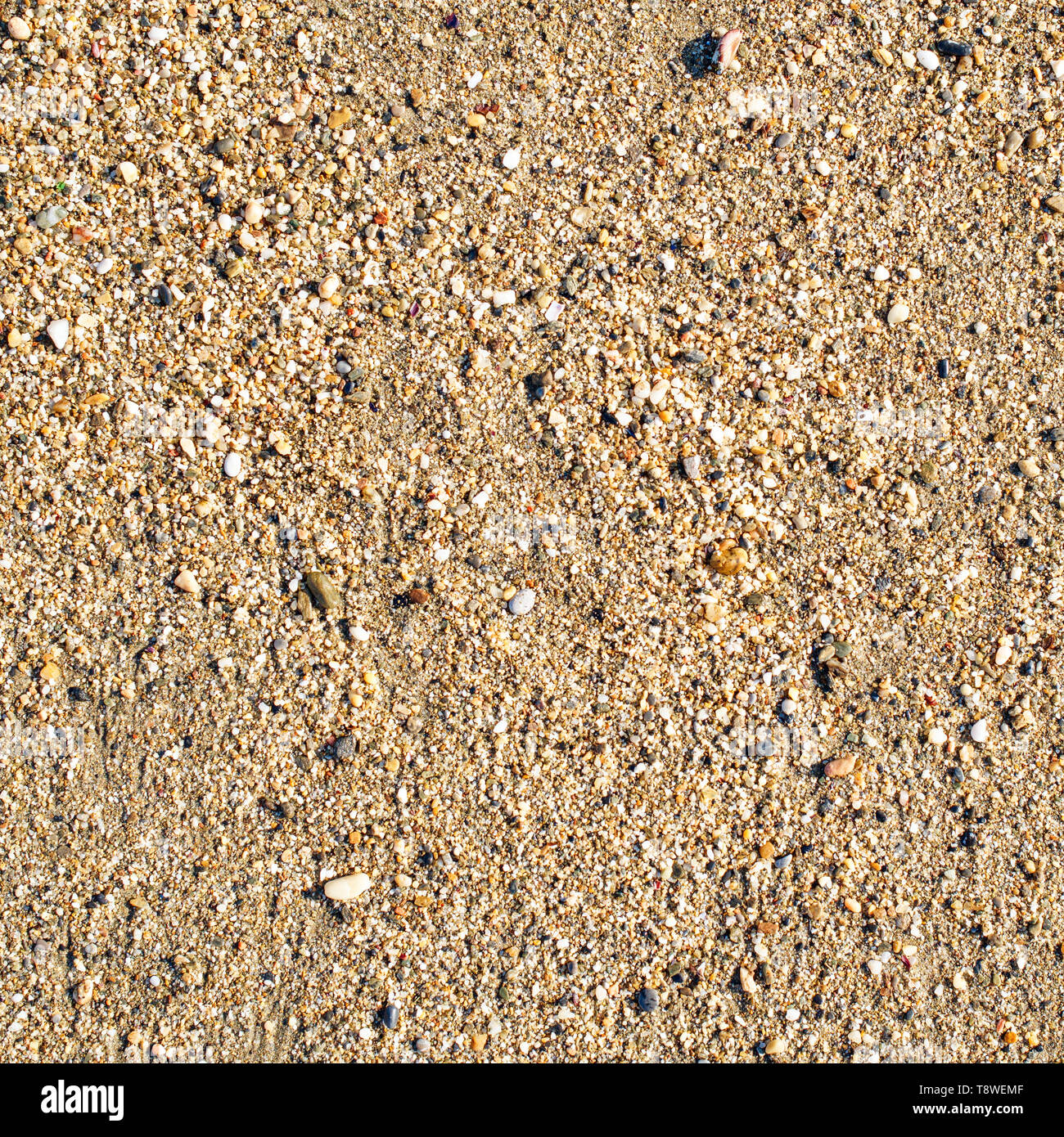 Top view of seashore, clean sand texture of natural surface Stock Photo ...