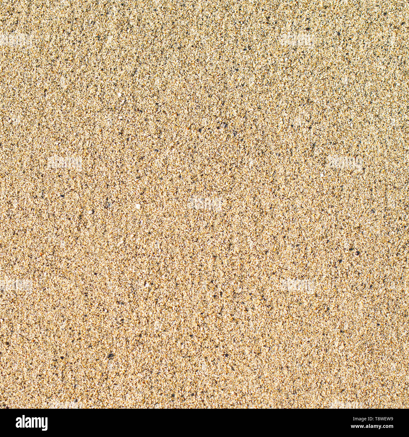 Top view of seashore, clean sand texture of natural surface Stock Photo ...