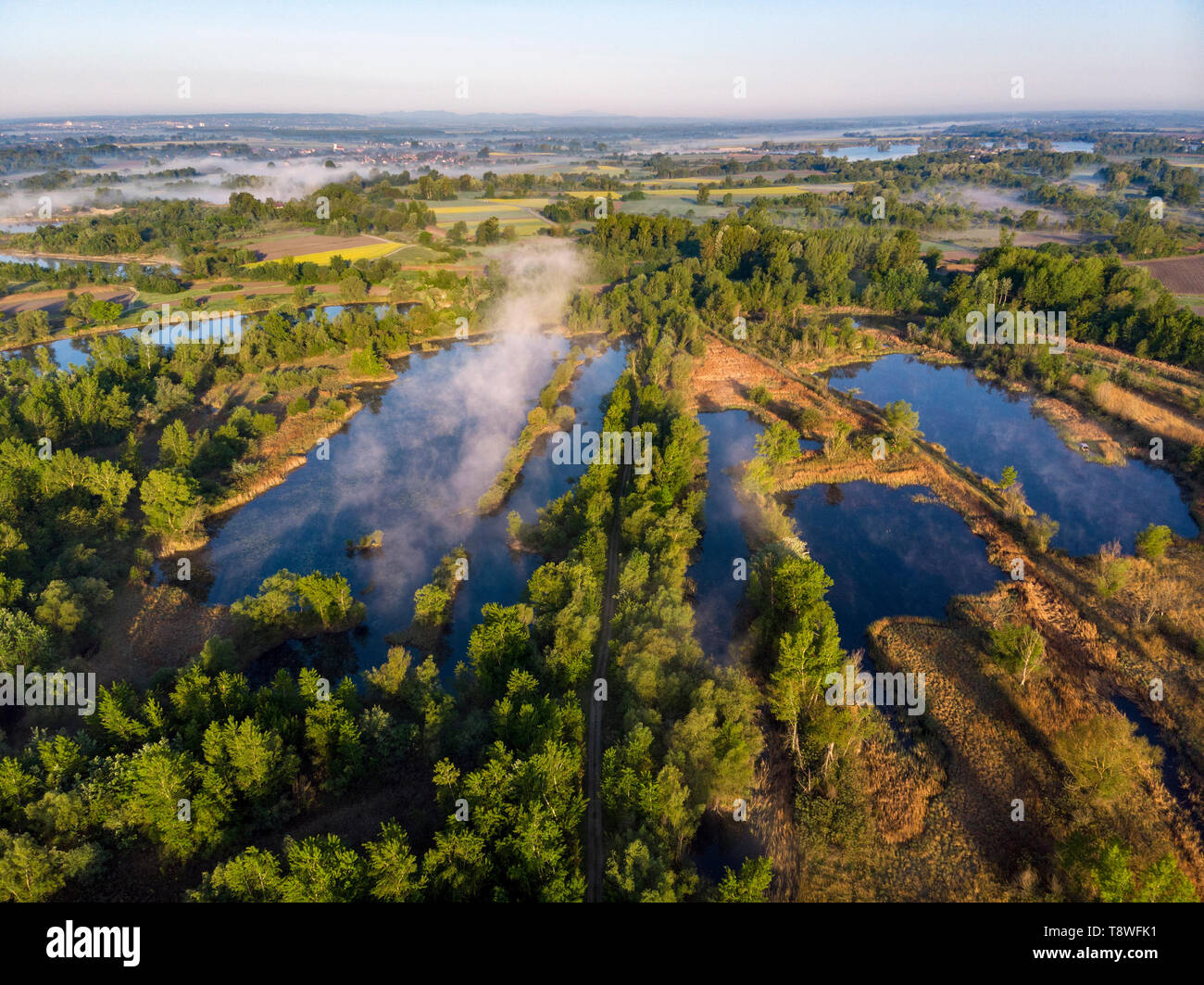 Landscape of lowland wetland scenery hi-res stock photography and ...