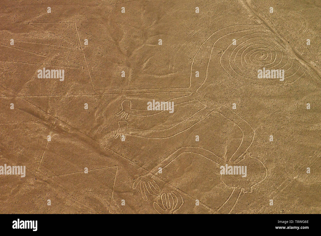 Nazca lines in peru hi-res stock photography and images - Alamy
