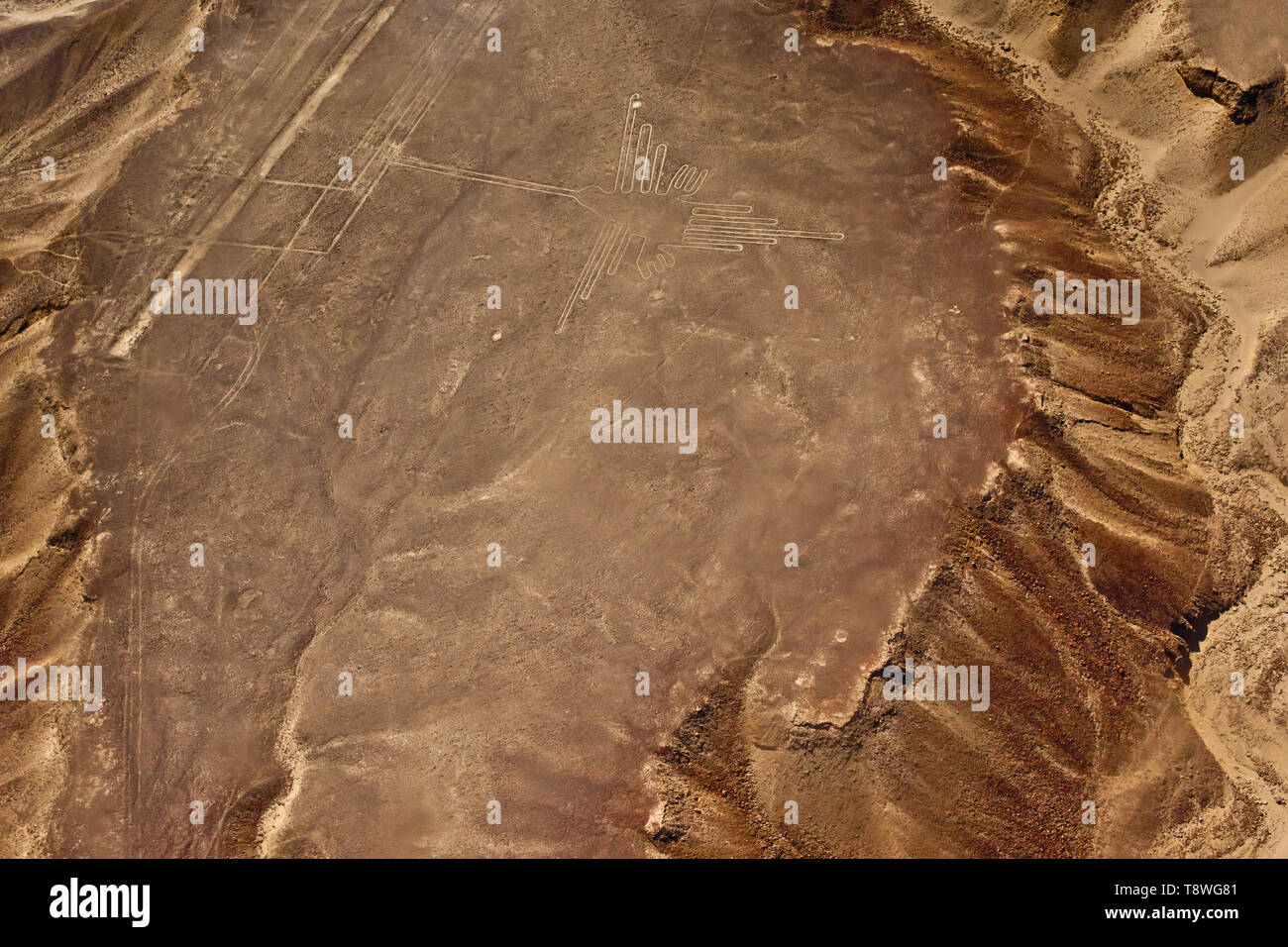 Nazca lines in Peru from an airplane Stock Photo - Alamy