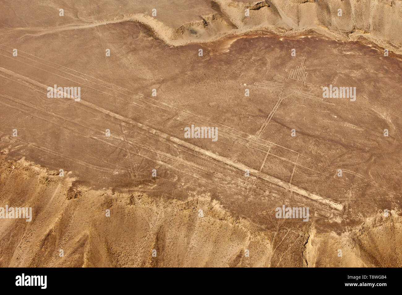 Nazca lines in Peru from an airplane Stock Photo - Alamy