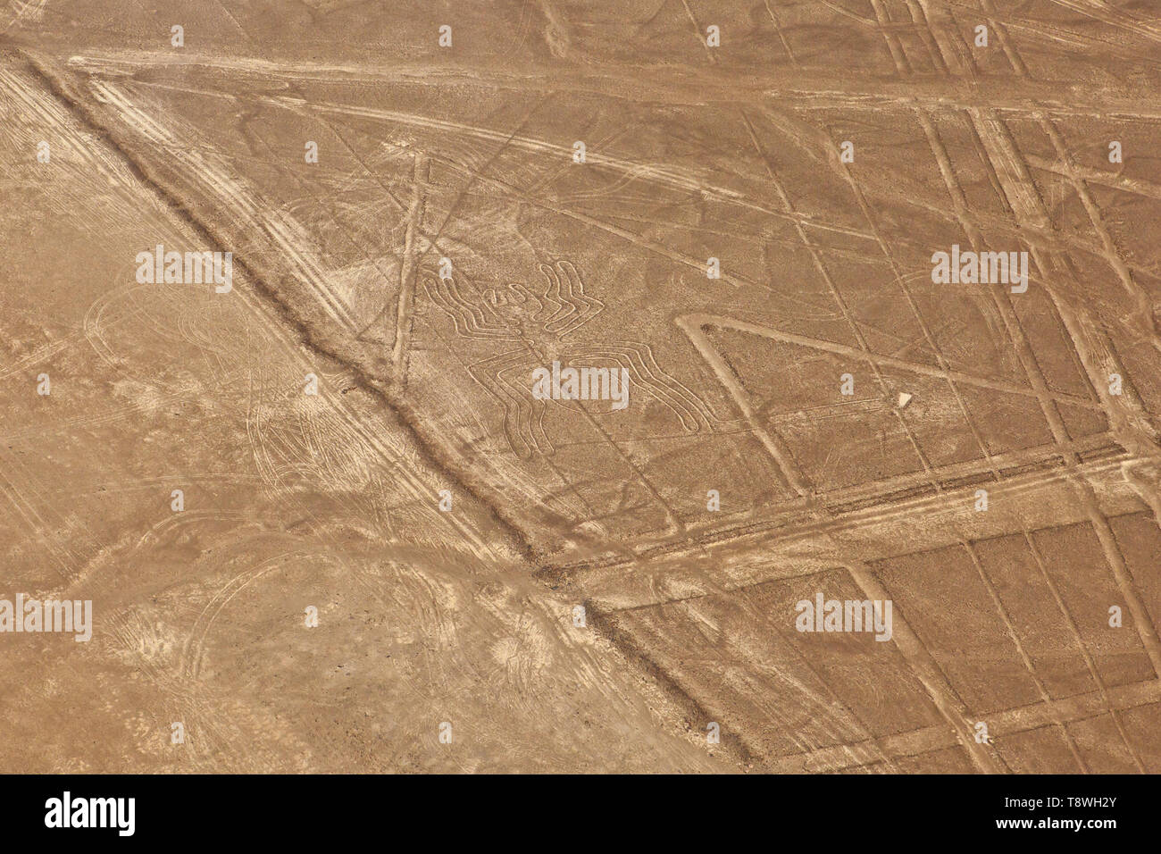 Nazca lines in Peru from an airplane Stock Photo - Alamy