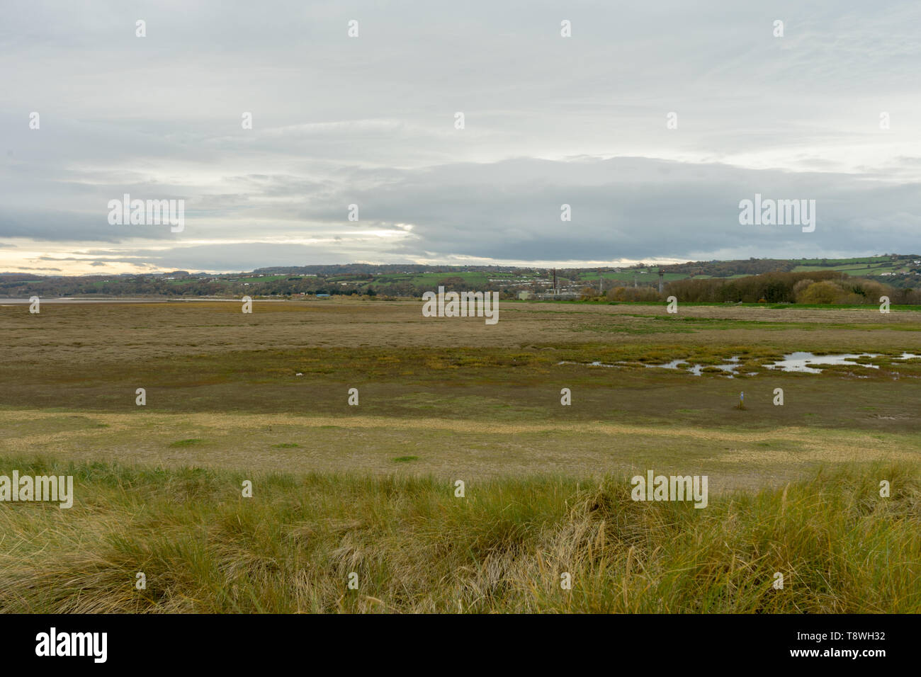 OLD COAL FIELD, NORTH WALES, TALACRE Stock Photo - Alamy