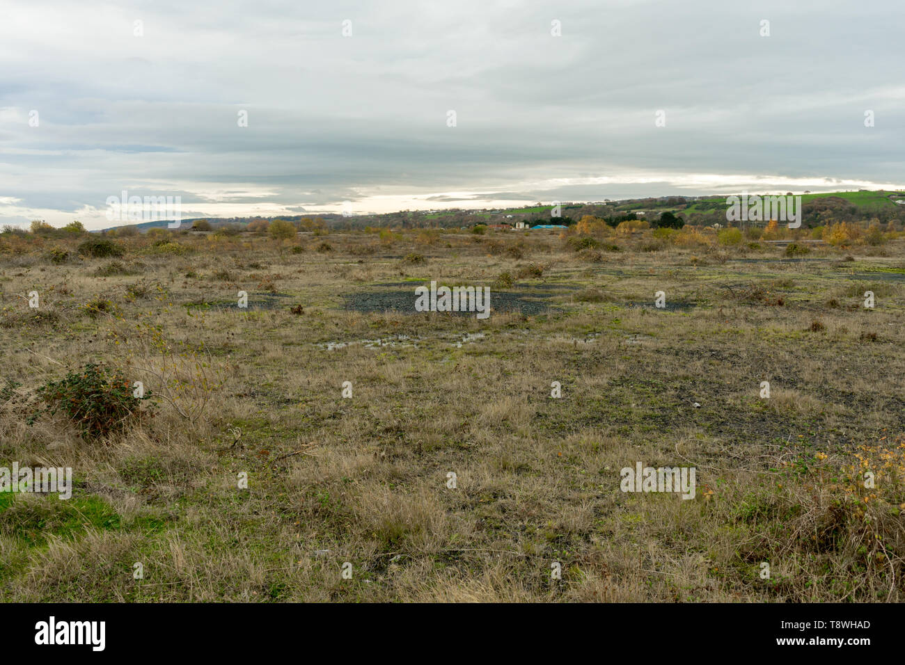 Coal field hi-res stock photography and images - Alamy