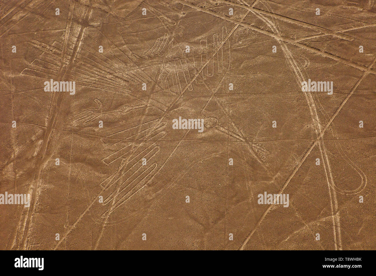 Nazca lines in Peru from an airplane Stock Photo - Alamy