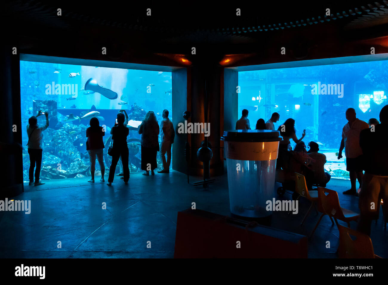Aquarium High Resolution Stock Photography and Images - Alamy