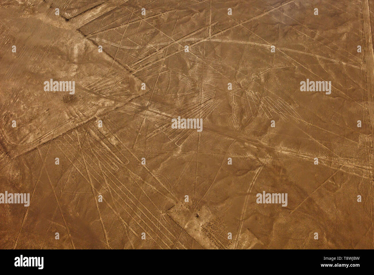 Nazca lines in Peru from an airplane Stock Photo - Alamy