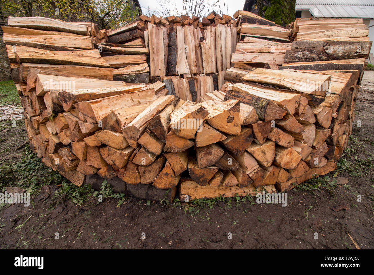 round wood pile in middle stage Stock Photo - Alamy