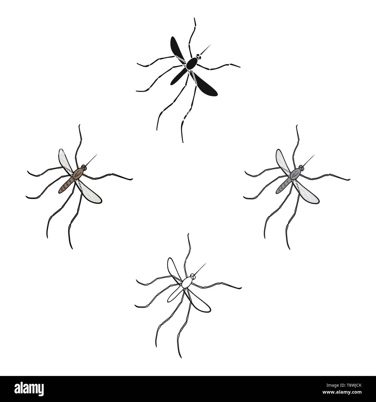 animal,arthropod,bloodsucker,cartoon,black,dipterous,gnat,icon ...