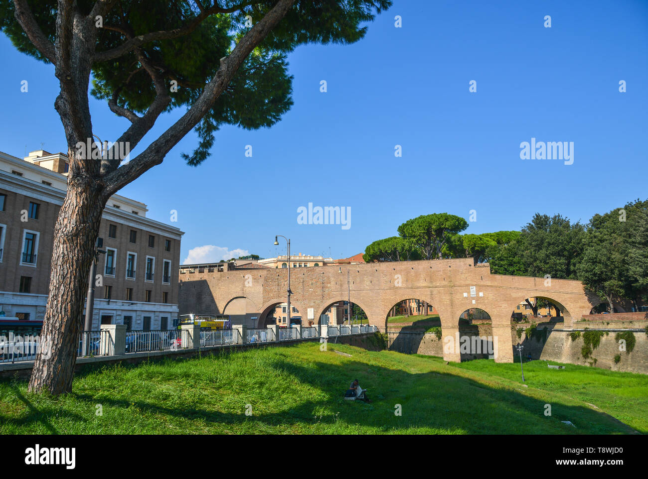 Rome, Italy - Oct 14, 2018. Italian Stone Pines (Pinus Pinea) with ...