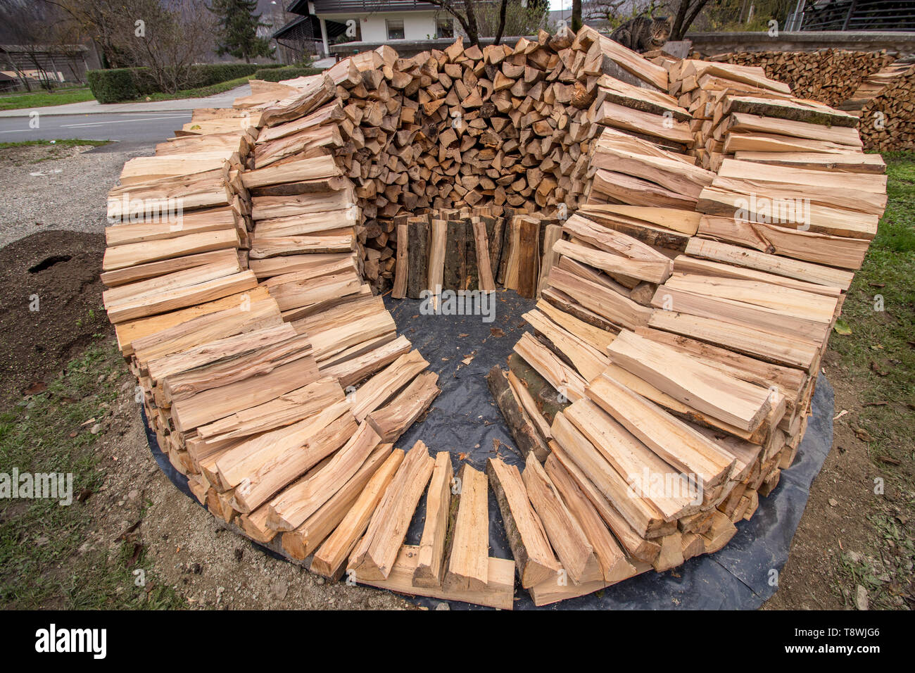 round wood pile 2 layers almost completed Stock Photo - Alamy