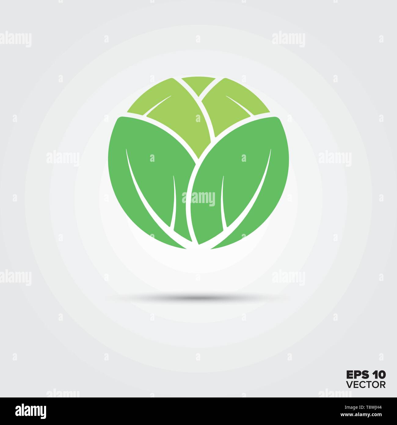 Cabbage vegetable Stock Vector Images - Alamy