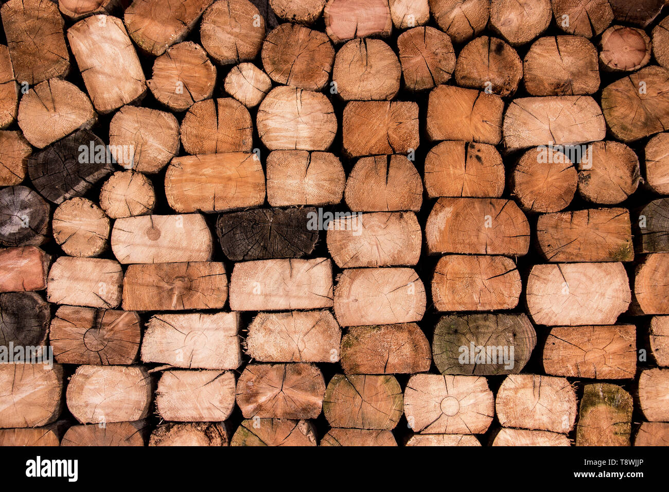 stockpile of wooden beams Stock Photo - Alamy