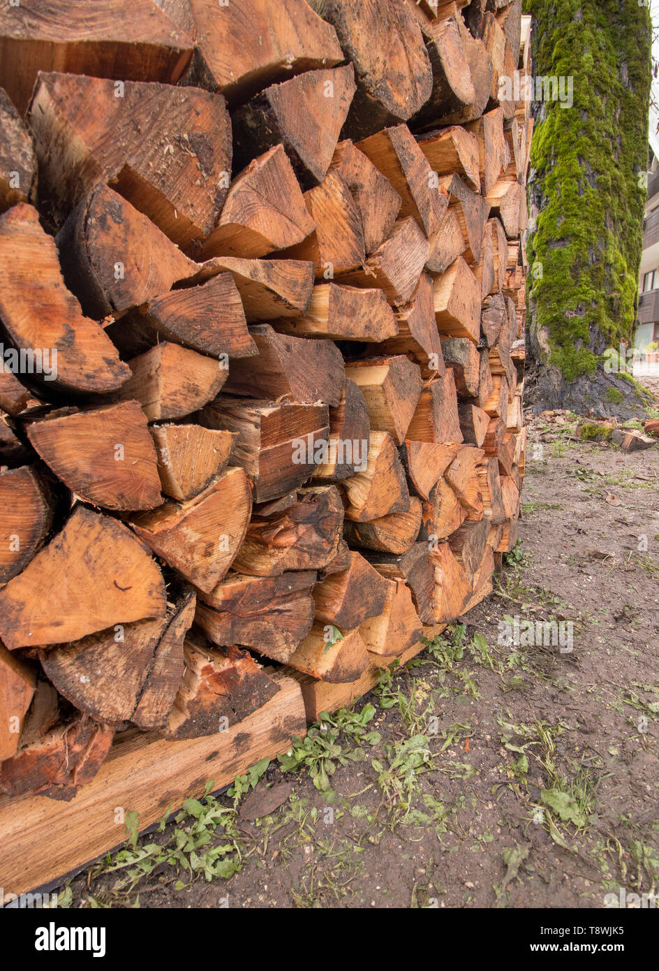 round wood pile low angle Stock Photo - Alamy