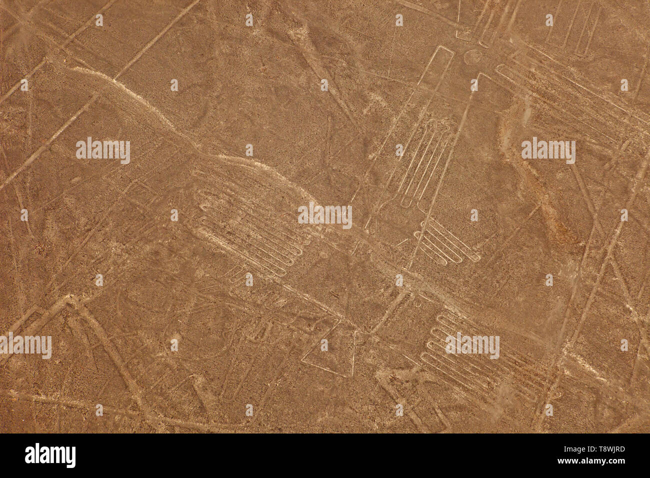 Nazca lines in Peru from an airplane Stock Photo - Alamy