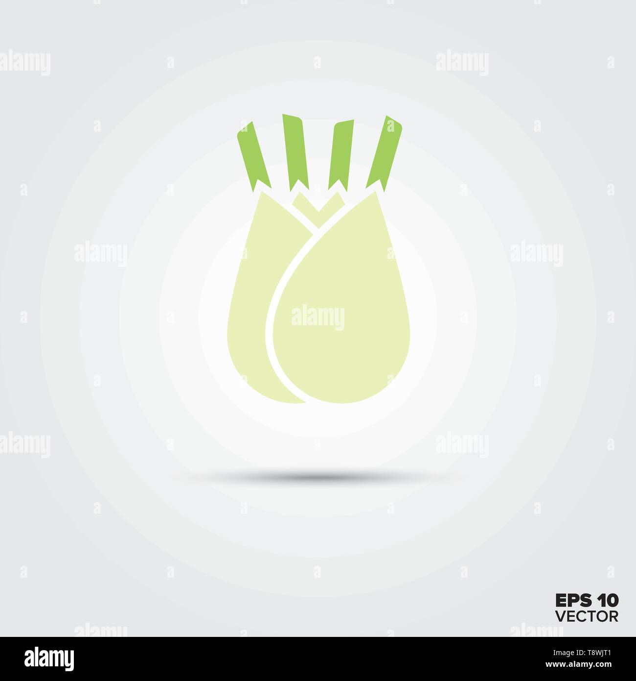 Bulb of fennel Stock Vector Images - Alamy
