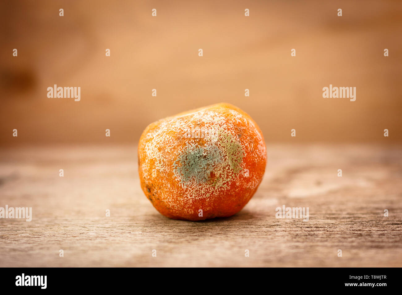 Moldy mandarin hi-res stock photography and images - Alamy