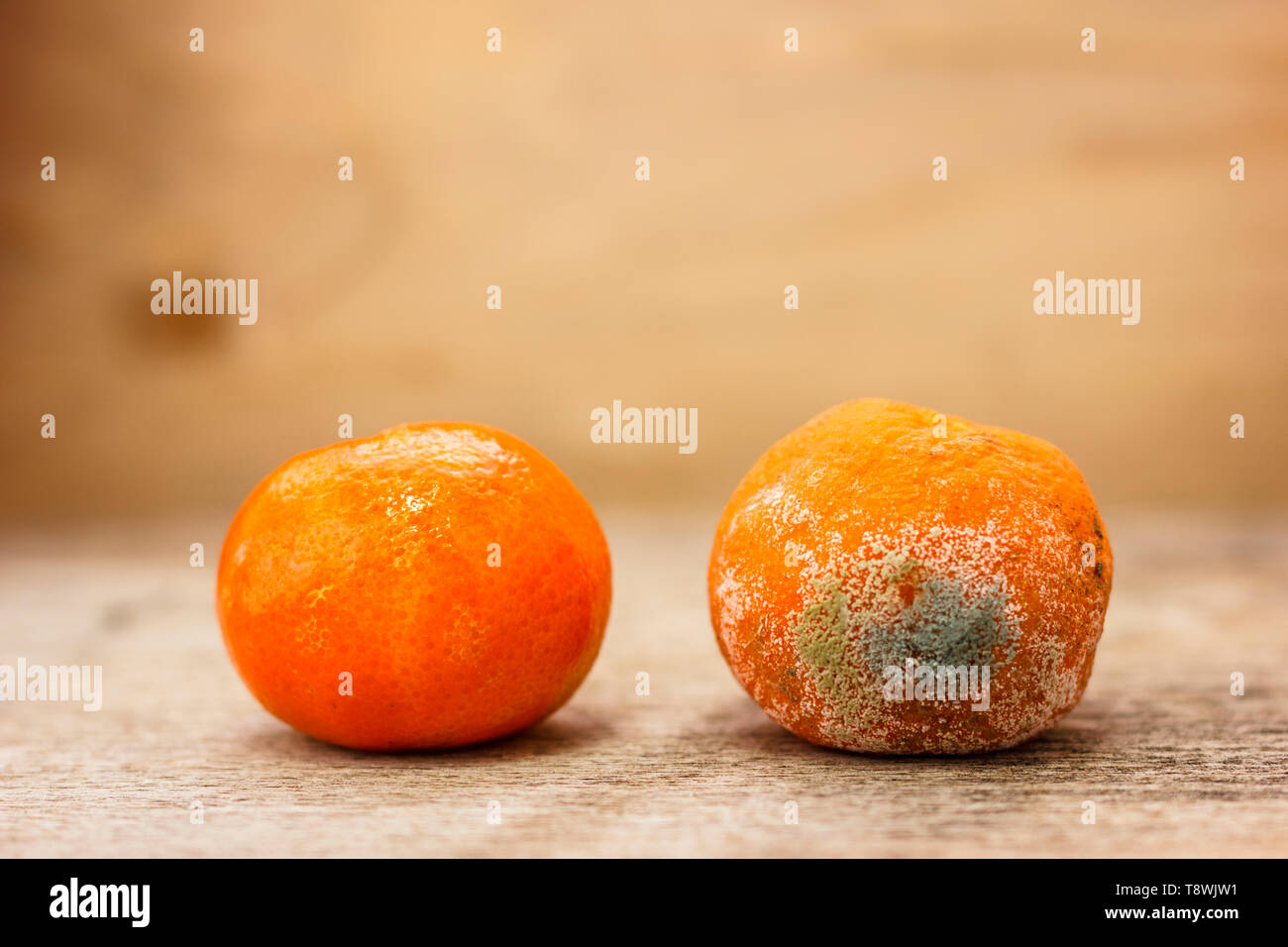 Moldy mandarin hi-res stock photography and images - Alamy