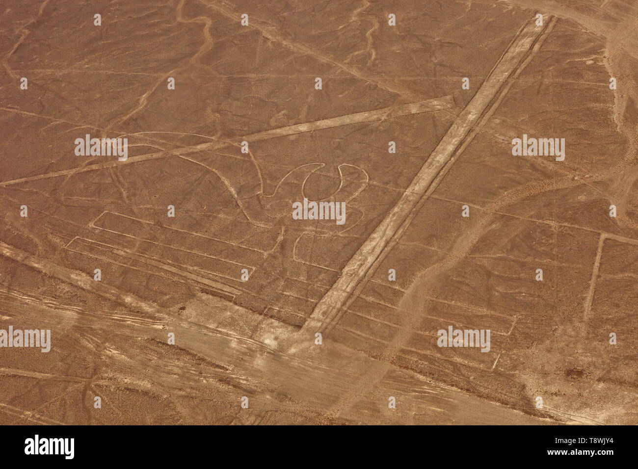 Nazca lines in Peru from an airplane Stock Photo - Alamy