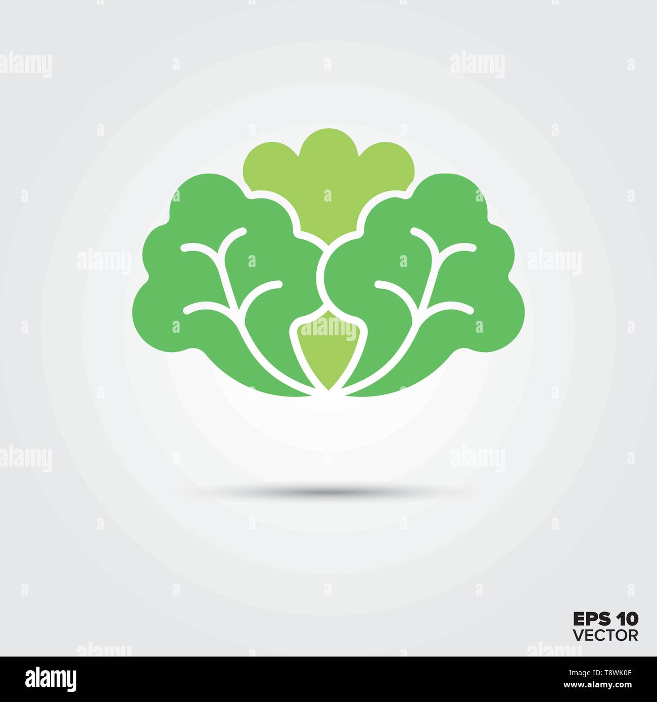 Lettuce icon Stock Vector Images - Alamy
