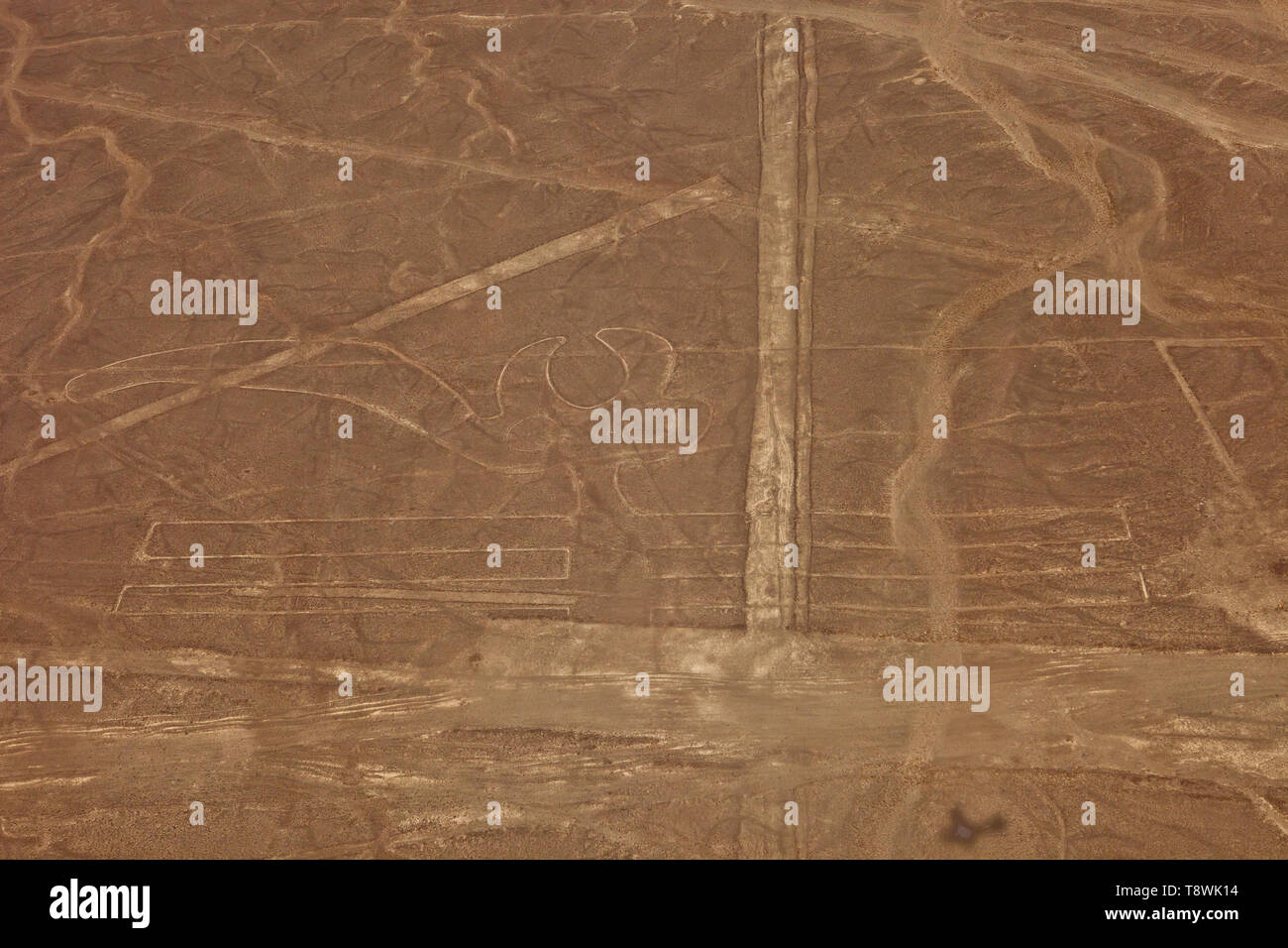 Nazca lines in Peru from an airplane Stock Photo - Alamy