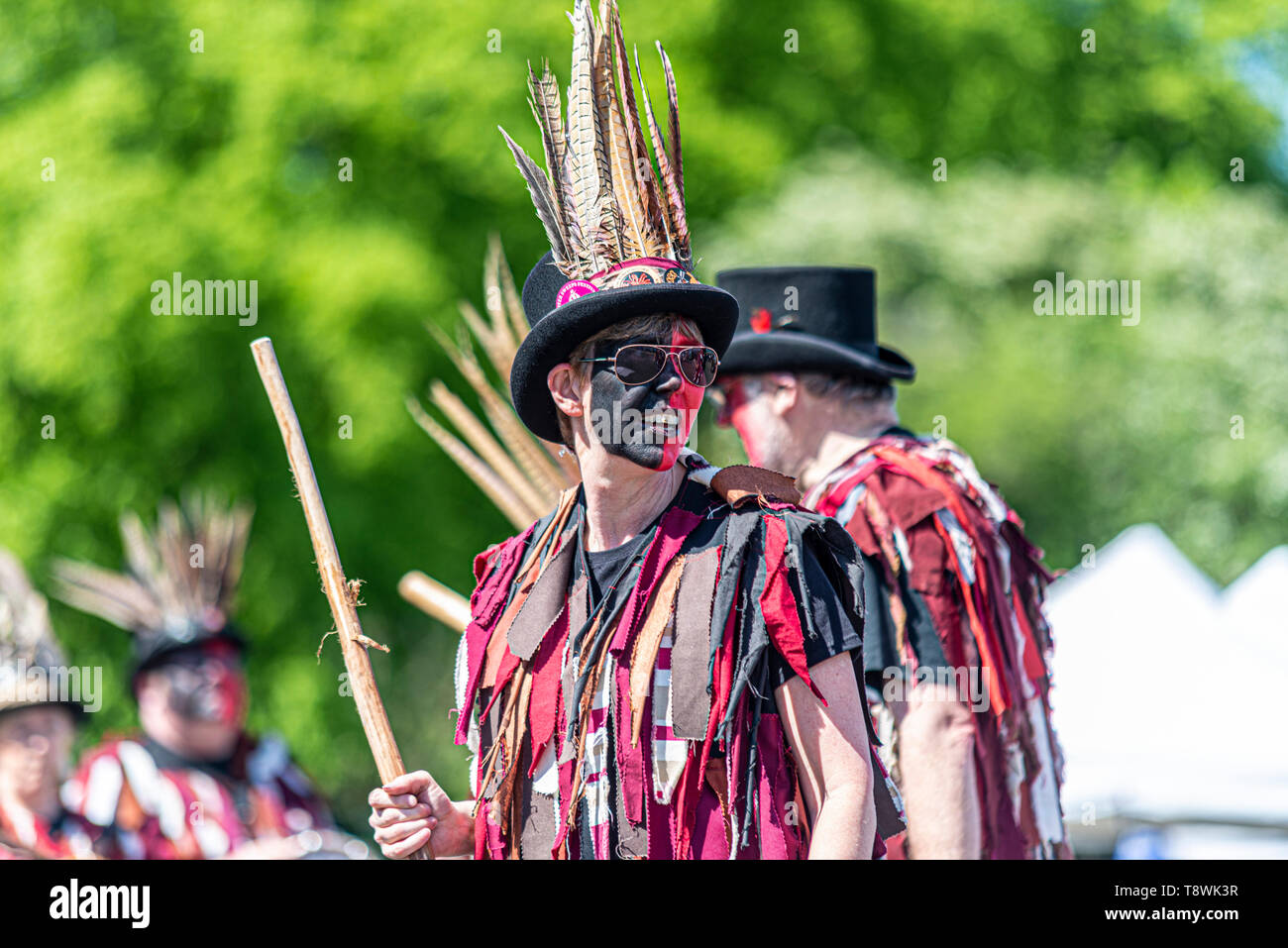 Dark Horse Border Morris, morris dancing troupe. Maldon based Morris ...