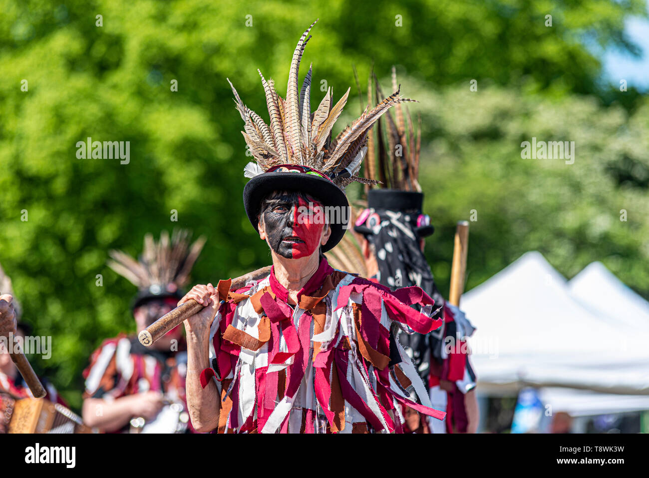 Dark Horse Border Morris, morris dancing troupe. Maldon based Morris ...