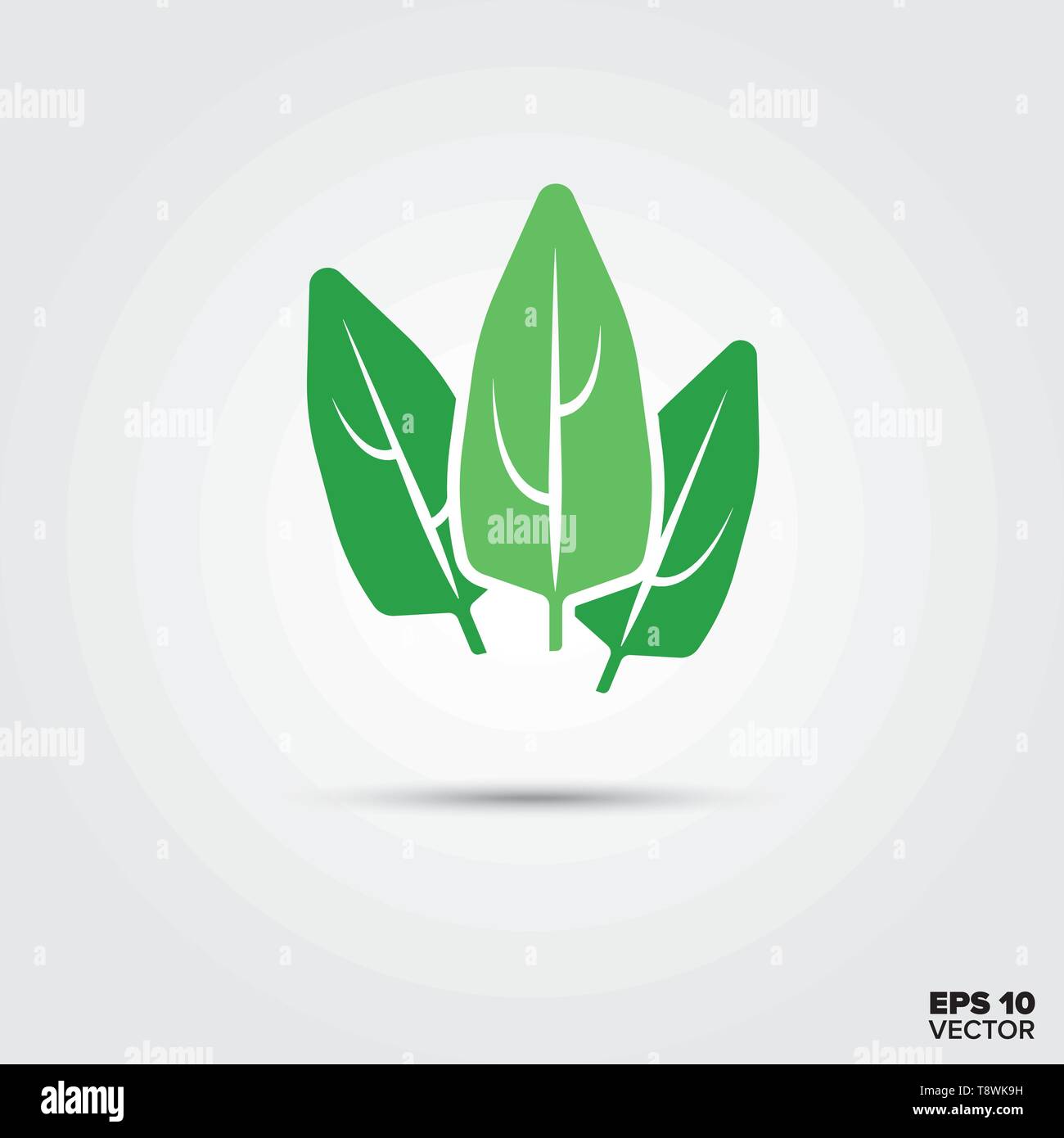 spinach leaves vegetable vector icon Stock Vector Image & Art - Alamy
