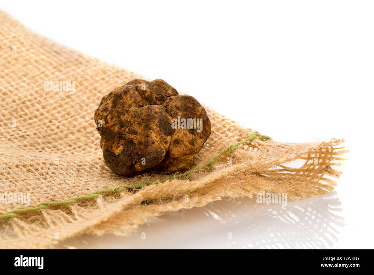 Close-up of white truffle (tuber magnatum) isolated on white. Luxurious ...