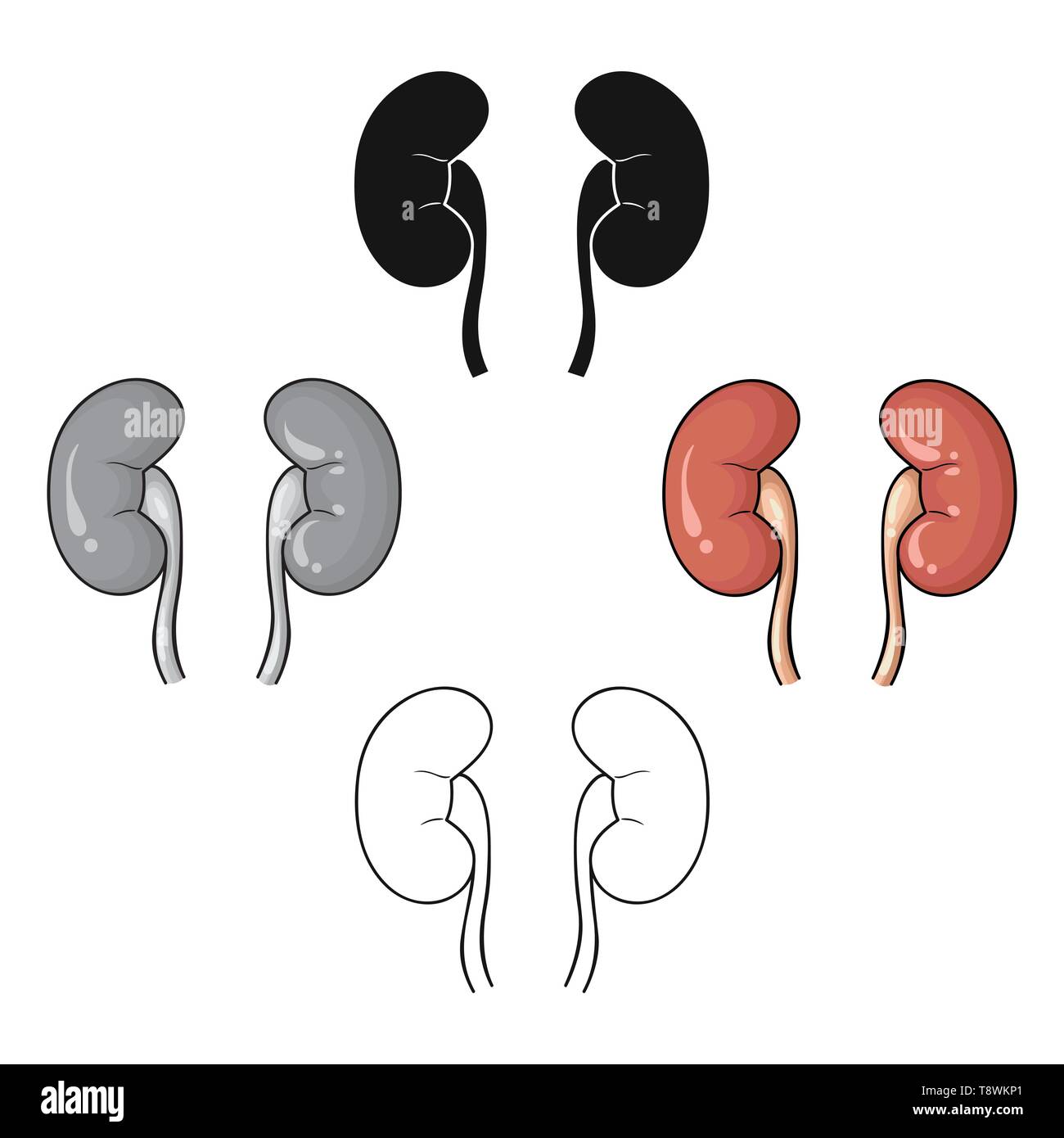 adrenal,anatomy,art,arteries,biology,body,cartoon,black,cross,design ...