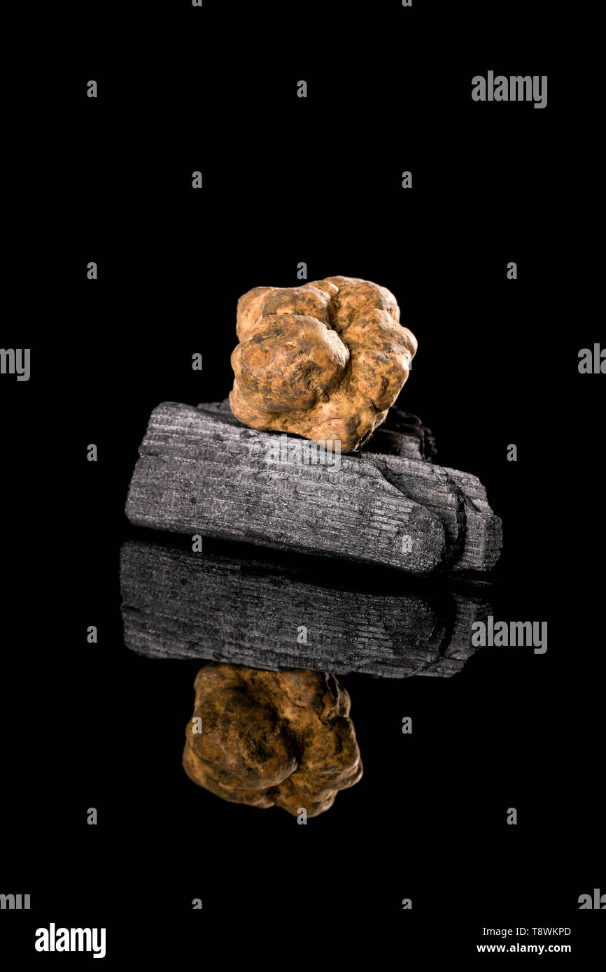 Whole white truffles on black background with reflection. Luxurious ...