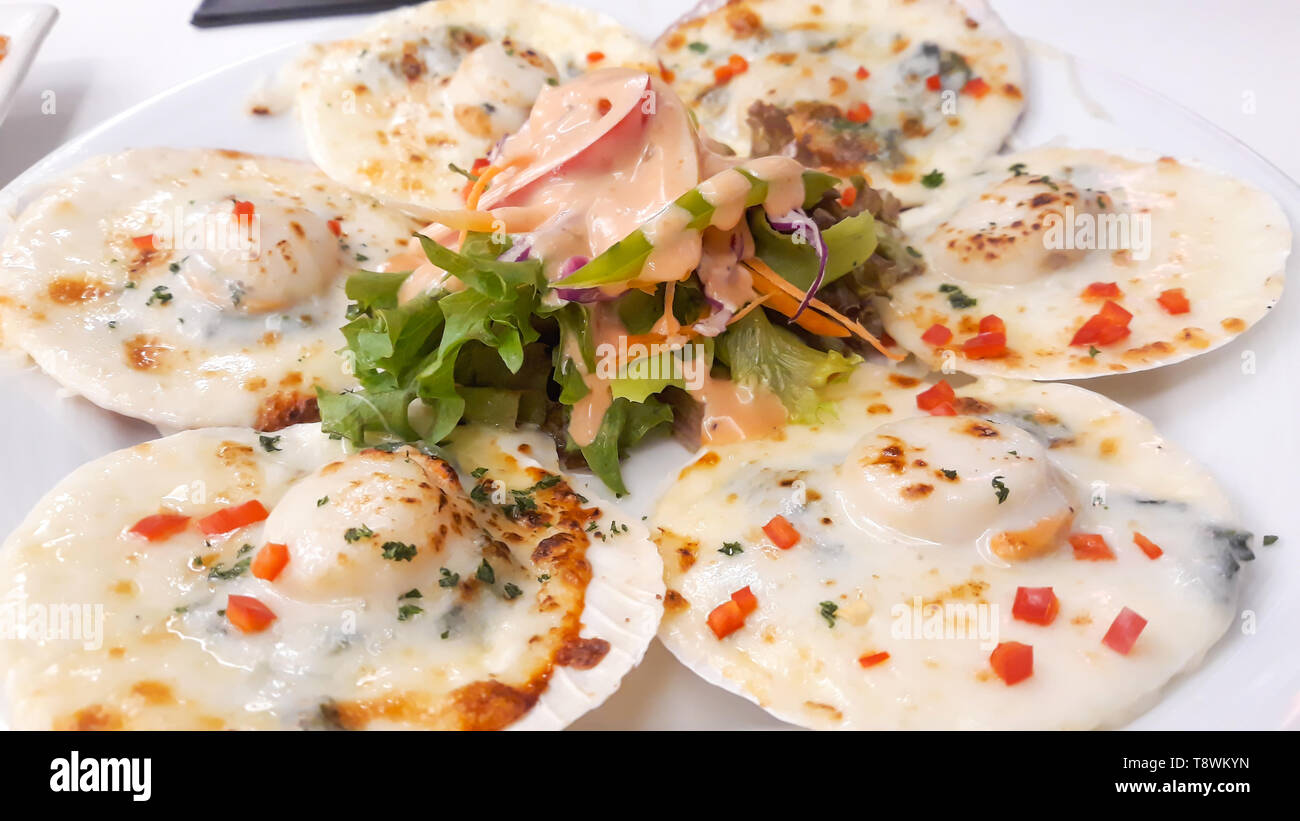 Baked scallops with cheese Stock Photo - Alamy