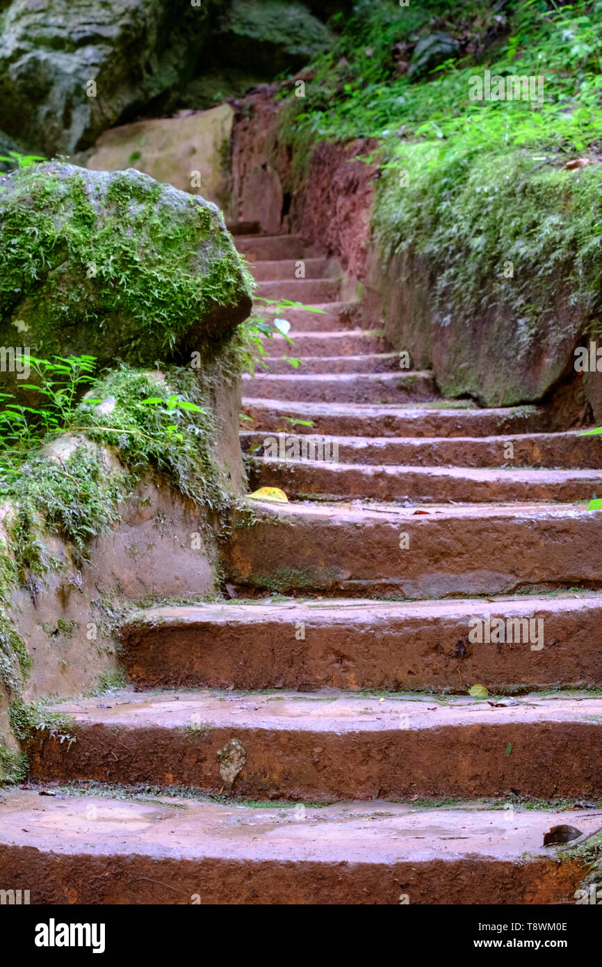 Path leading to the Lone Creek Falls, dramatic waterfalls in forested ...