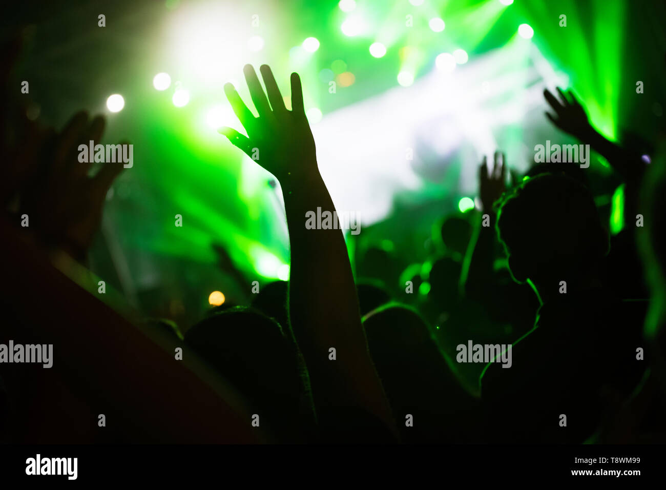Picture of party people at music festival Stock Photo - Alamy