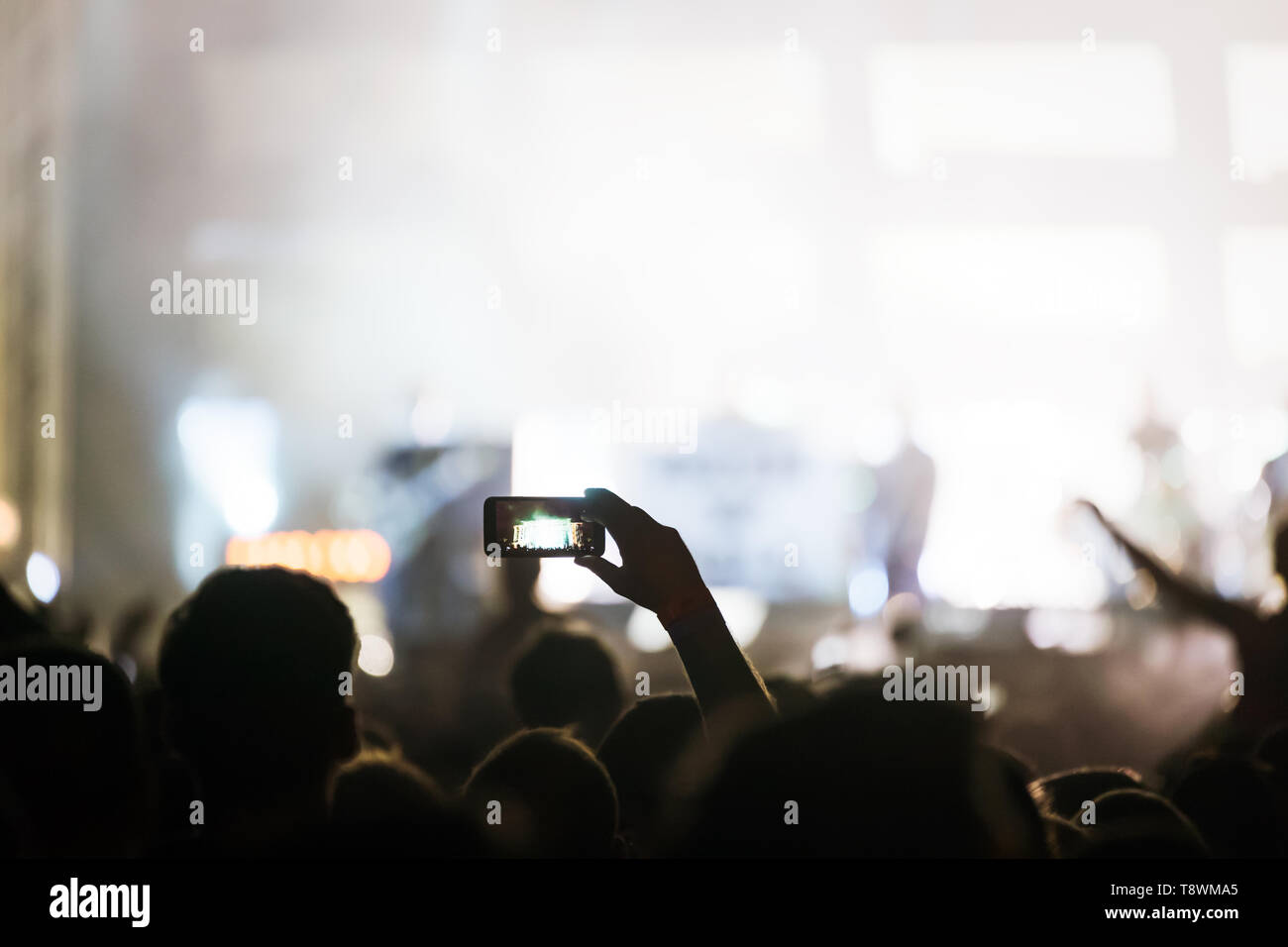 Picture of party people at music festival Stock Photo - Alamy