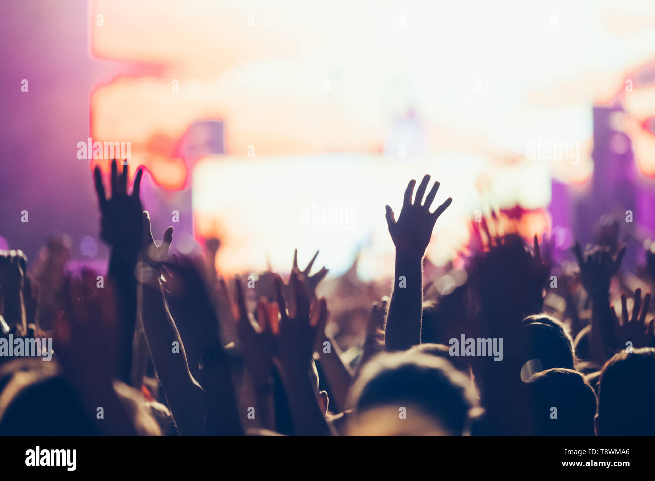 Picture of party people at music festival Stock Photo - Alamy
