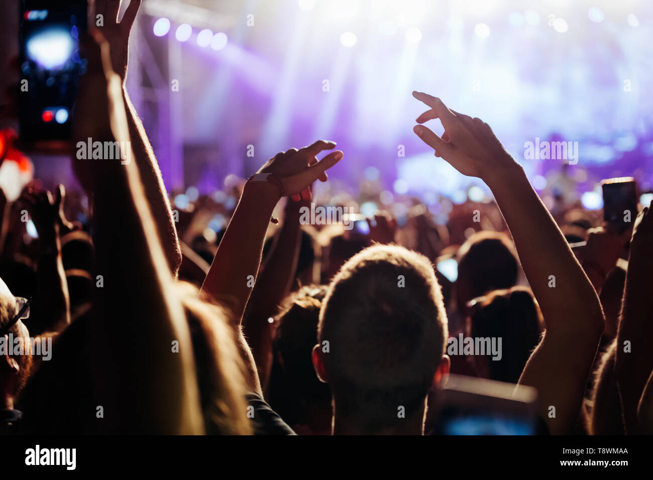 Picture of party people at music festival Stock Photo - Alamy