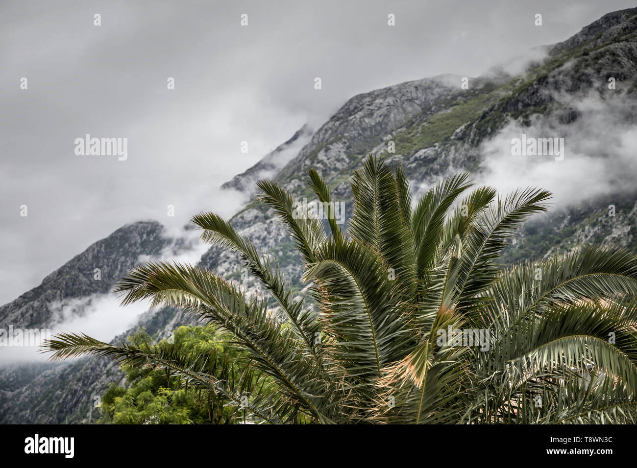 Rain raining mountain nature hi-res stock photography and images - Alamy
