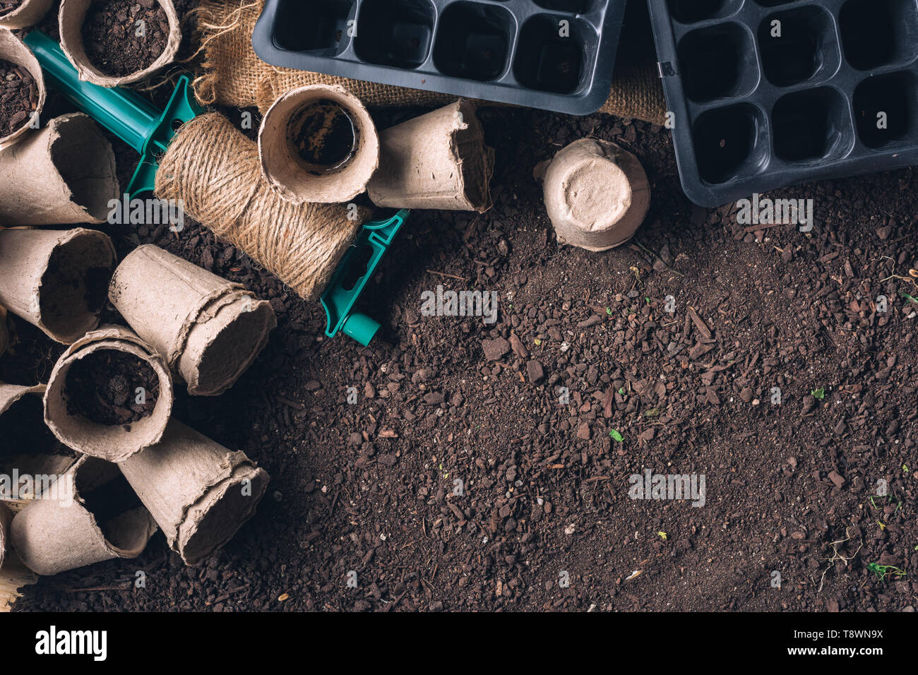 Biodegradable peat pot on greenhouse compost humus soil, organic ...