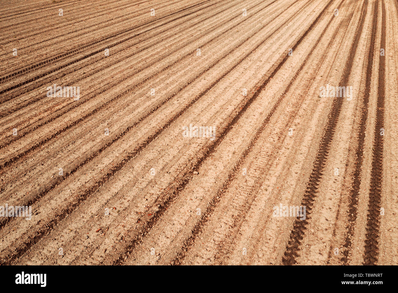 Plowed field land is ready for crop sowing season Stock Photo - Alamy