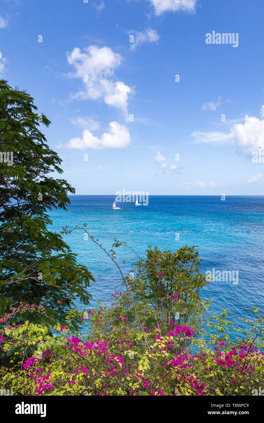 Sailboat on the water from the island of St Lucia in the Caribbean ...