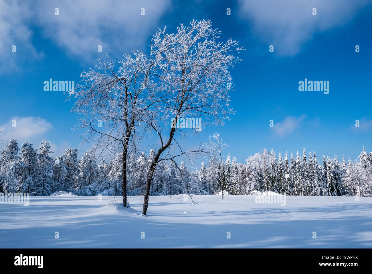 Deep blue sky sky hi-res stock photography and images - Alamy