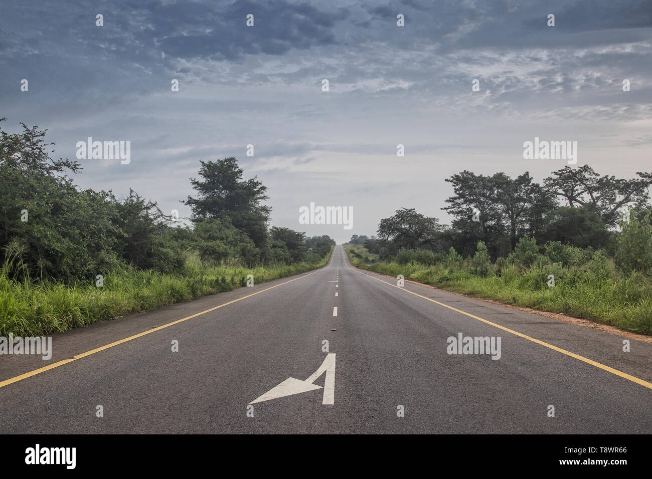Asphalt road on the way to northern Angola Stock Photo - Alamy